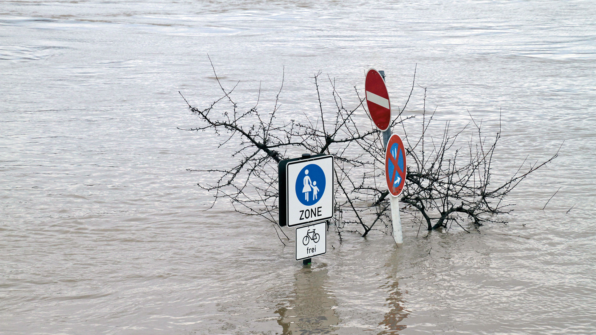 Support for the natural disaster areas in Poland and the US | UPM Biofuels